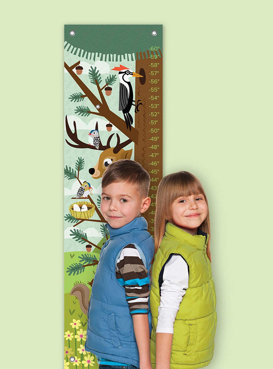 Oopsy Daisy Growth Charts Woodland Creatures by Jenn Ski, 12 by 42-Inch