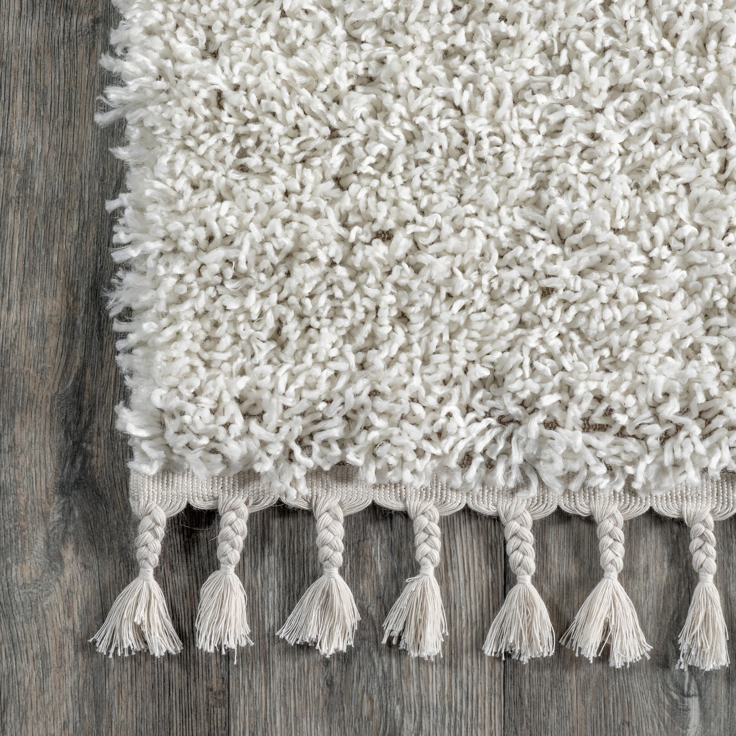 nuLOOM Neva Modern Tasseled Shag Area Rug, 3x5, Ivory