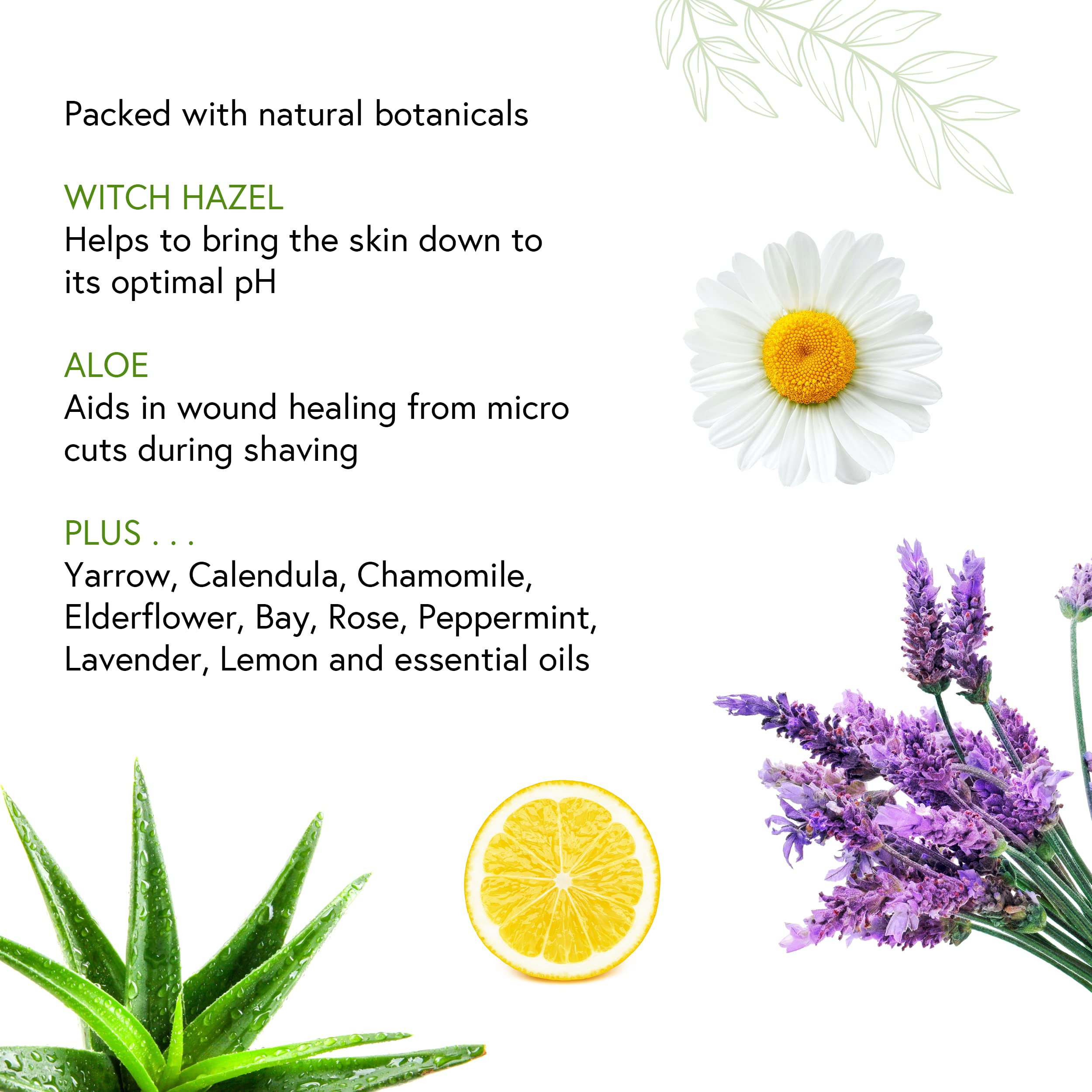 Honeybee Gardens Soothe & Refresh Herbal Aftershave with Aloe & Witch Hazel for Men, Key Lime, A Refreshing Burst of Lime Essential Oil, Gluten-Free, Vegan, Cruelty-Free, 4 Fl Oz