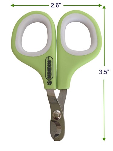 Pixikko Cat Nail Clippers - Small Animals, Kittens, Puppies - Professional Grade Stainless Steel Blade with Sturdy Non-Slip Grip Handles