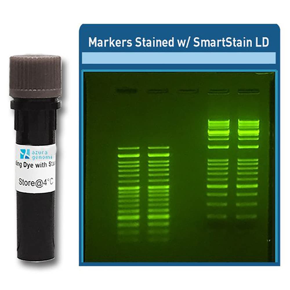 Azura SmartStain™ Pre-Stain (Direct Alternative for EtBr) 1mL, 20,000x