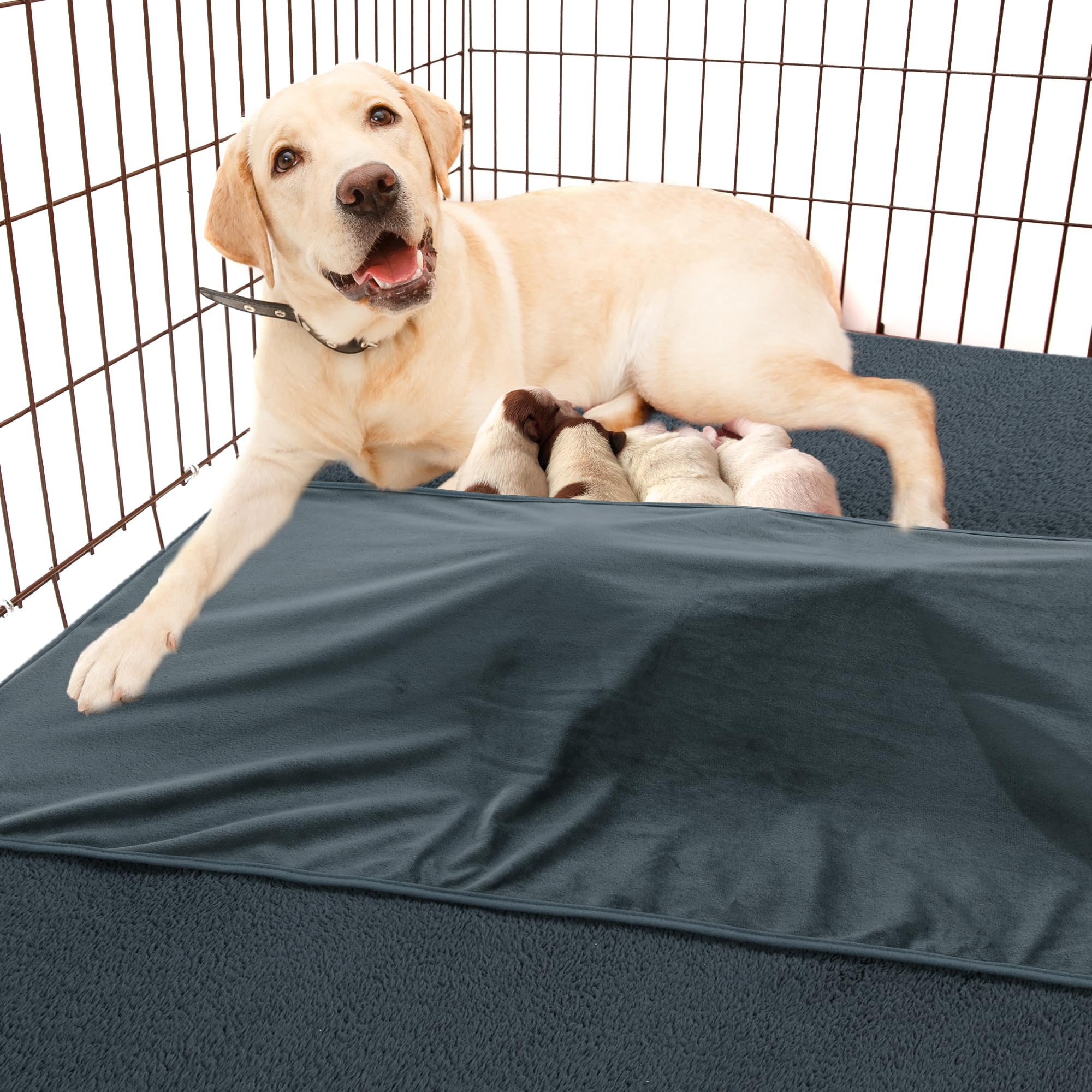 BALAPET Whelping Pad,Whelping Box Liner Mats Washable and Waterproof with Burrowing Warm Pocket, Extra Absorbent with Waterproof Bottom,Pet Whelping Pad for Training,Whelping,Playpen(30 * 30in)
