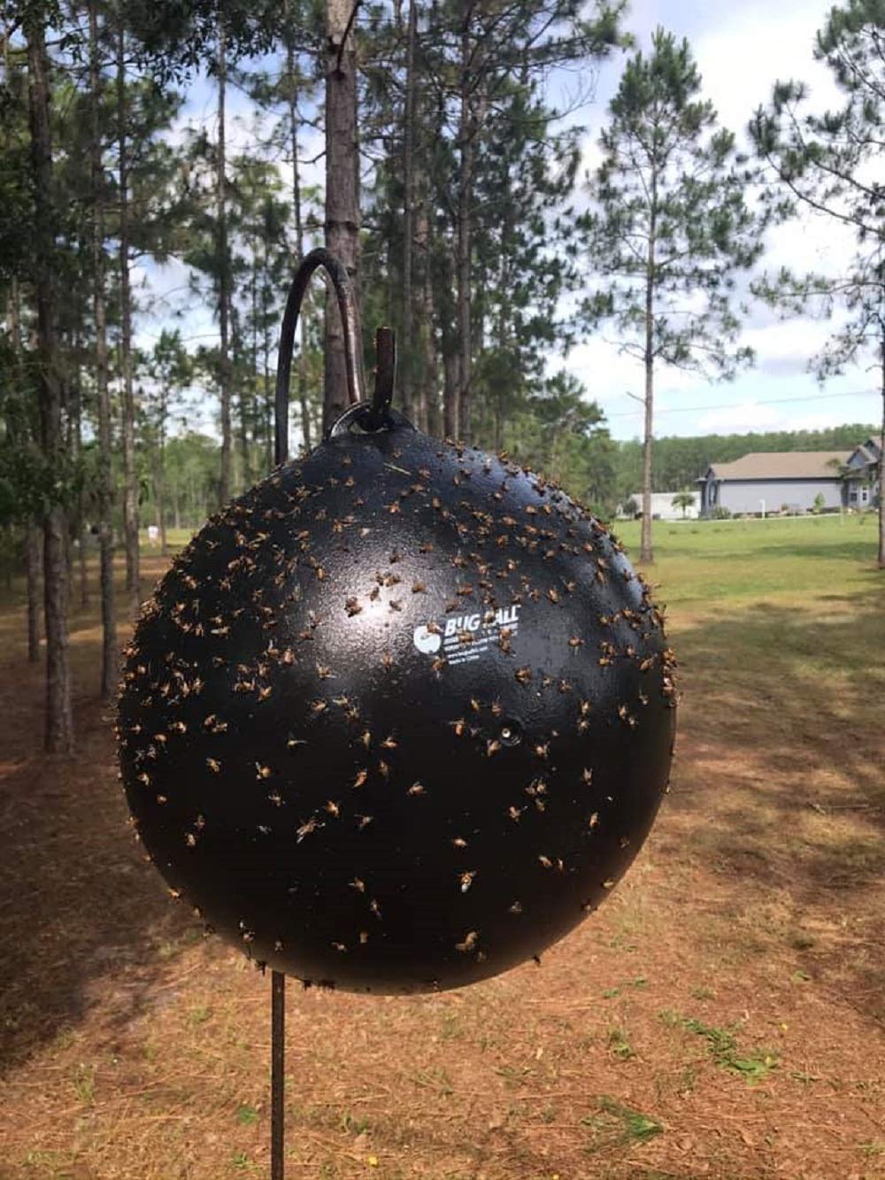 Bug Ball Replacement Ball, 6 Pack- Odorless Eco-Friendly Biting Fly and Insect Killer with NO Pesticides or Electricity Needed, Kid and Pet Safe