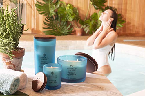 Chesapeake Bay Candle PT41312 Scented Candle, Refresh + Rejuvenate (Mediterranean Citrus), Medium, Home Décor
