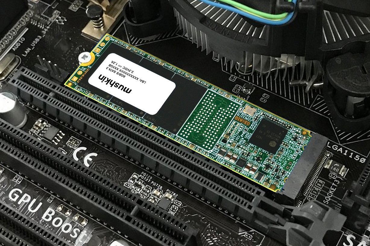 Mushkin Source M.2 – 500GB SATA-III M.2 (2280) – 6Gb/s – Internal Solid State Drive (SSD) – 3D TLC – (MKNSSDSR500GB-D8)
