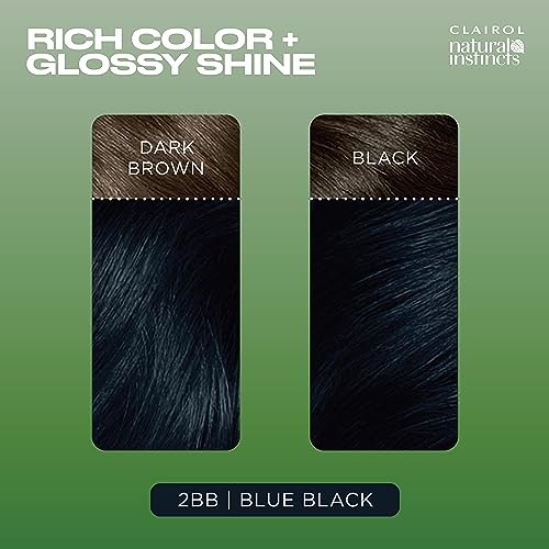 Clairol Natural Instincts Demi-Permanent Hair Dye, 2BB Blue Black Hair Color, Pack of 1