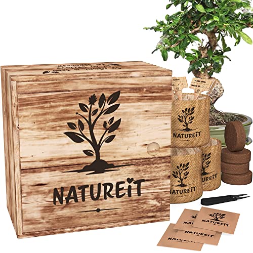 Natureit Bonsai Seed Starter Kit - Unique Wooden Growing Kit. Everything Needed to Grow 4 Types of Bonsai Trees from Seeds. Indoor/Outdoor Gardening Gift Ideas for Plant Lovers. DIY Kits for Adults.