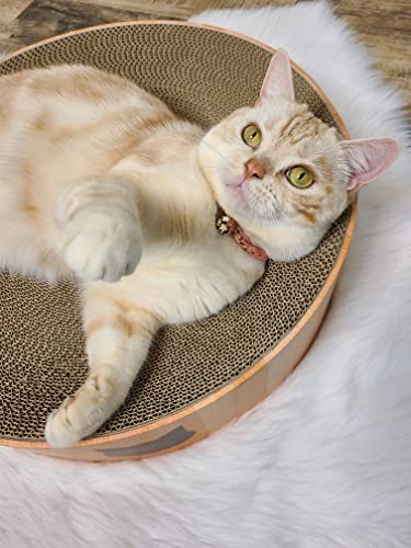 Necoichi Cozy Cat Scratcher Bowl, 100% Recycled Paper, Chemical-Free Materials (Bowl (Oak), Regular)