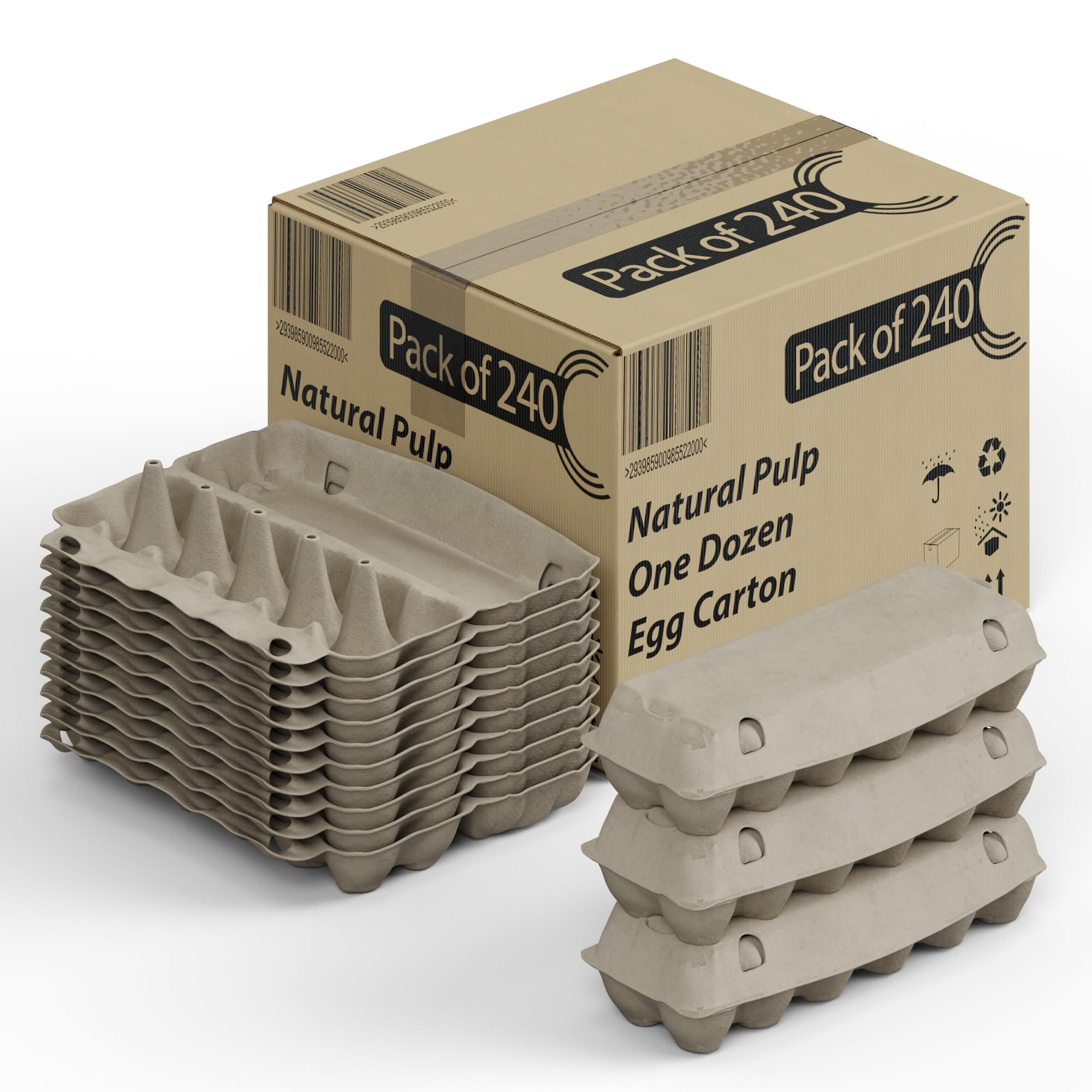 Auriga PACK of 240 | Bulk Egg Cartons - 1 Dozen Capacity | Recycled Molded Pulp Strong Cardboard Material (240)