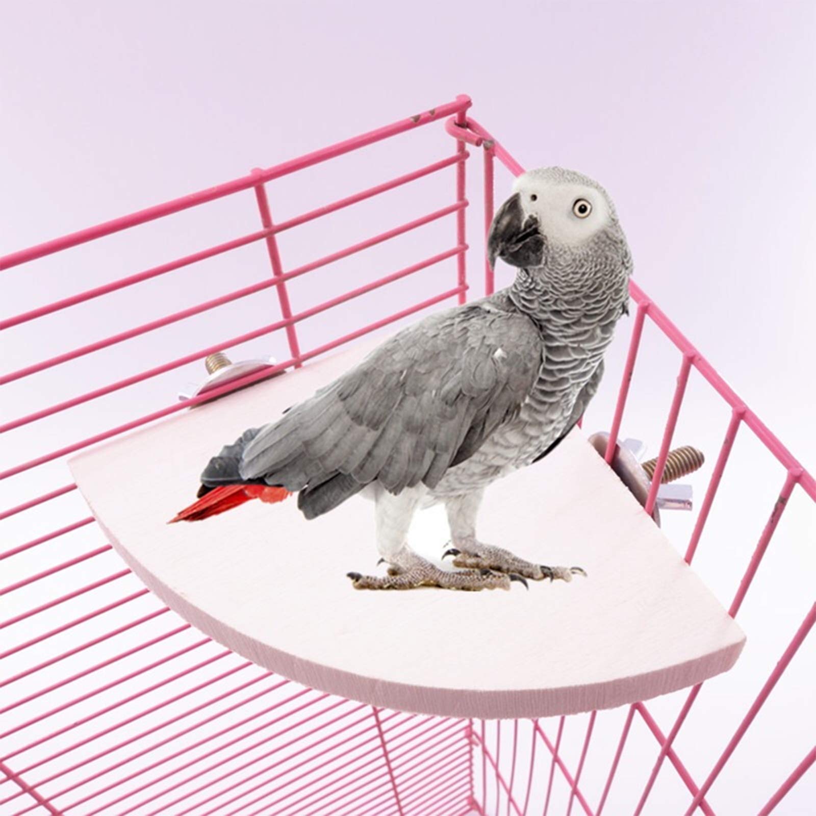 Bird Perch Platform Stand,Wood Perch Bird Platform Parrot Stand Playground Cage Accessories for Small Anminals Rat Hamster Gerbil Rat Mouse Lovebird Finches Conure Budgie Exercise Toy (Semicircle)