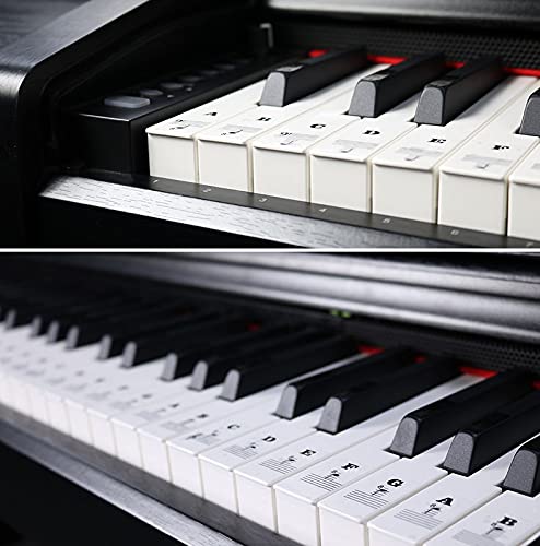 Piano Keyboard Stickers for Beginners 88/61/54/49/37 Key. Large Bold Letter Piano Stickers Perfect for kids Learning Piano, Transparent and Removable