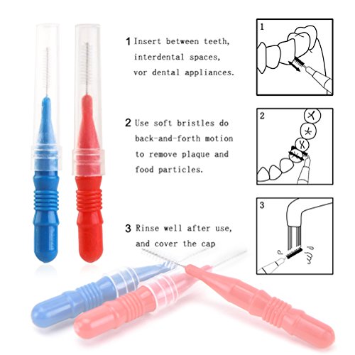 River Lake Interdental Slim Brush, Toothpick Tooth Flossing Head Oral Dental Hygiene Brush - 100 Count …