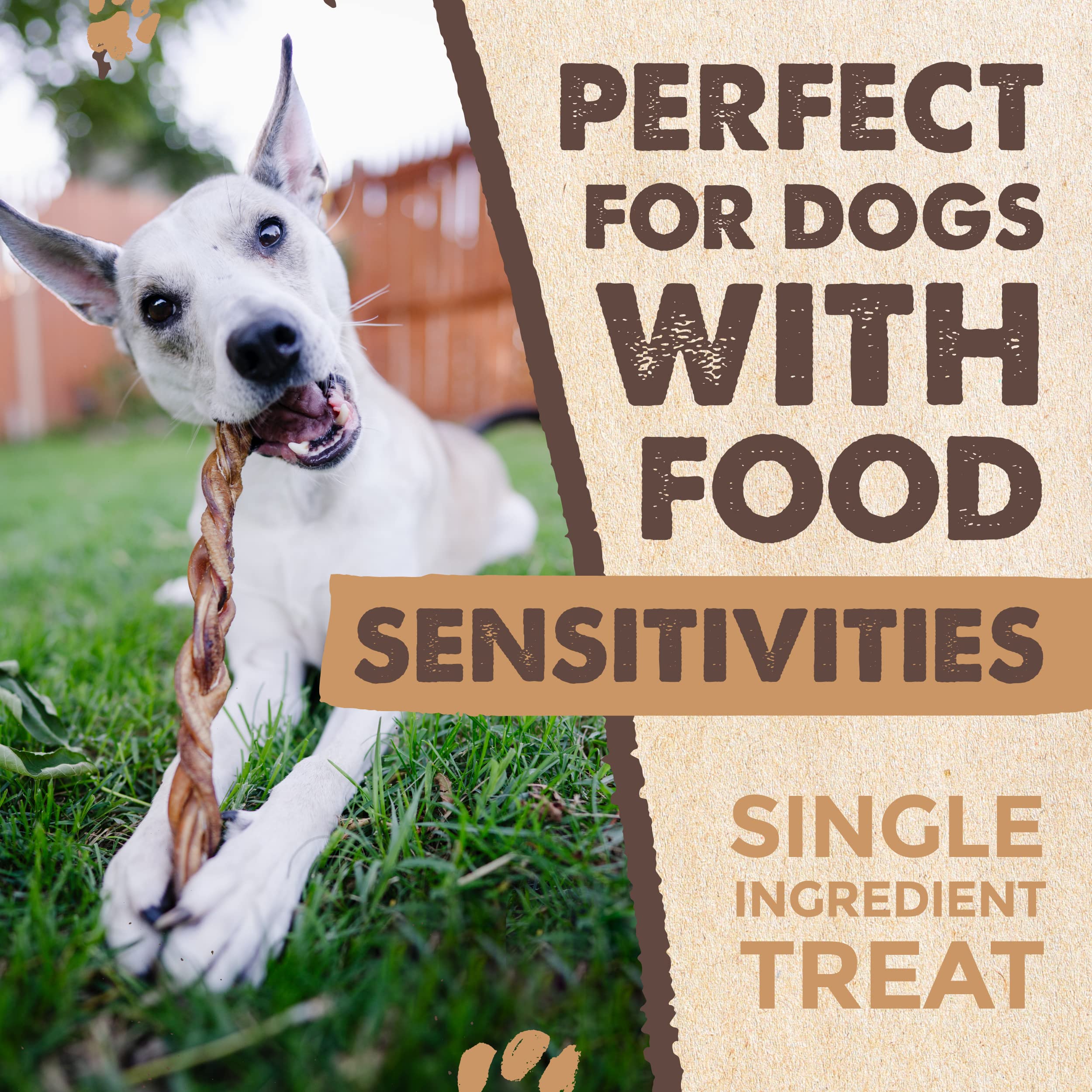 Mighty Paw Braided Bully Sticks for Large Dogs (5 Pack) | Large Bully Sticks. Best Dog Bully Sticks for Medium Dogs. Twisted Treats for All Breeds. Odor Free Bully Sticks. Thick 12β & 6β Variety Pack
