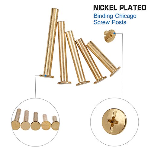 INCREWAY Phillips Screws, 100 Sets 5mm X 25/30/35/40/45mm Brass Plated Chicago Binding Screws, Round Cross Head Stud Screw Posts Nail Rivet Chicago Button, Brass Tone