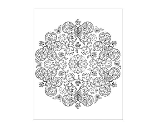 Color & Frame - In the Garden (Adult Coloring Book)