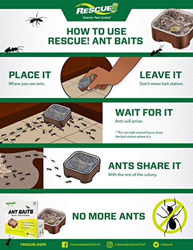RESCUE! Ant Baits β Indoor Ant Killer, Ant Trap Alternative - 6 Bait Stations