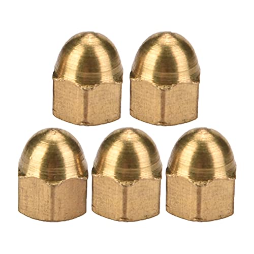 Brass Acorn Nut Kit Dome Brass Acorn Nuts, Silicone Caulking Tool Head Cap Hex Nuts Set Vehicle Fasteners (M3(20PCS))