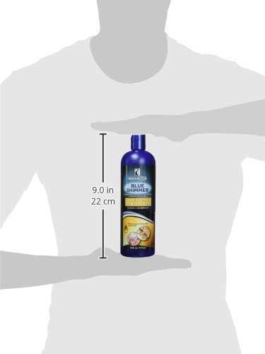 Conditioner with Argan Oil
