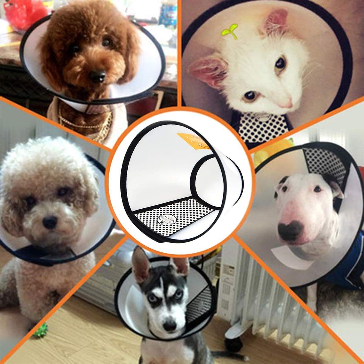 Bepets Cat Cone Collar, Pet Cone Dog Recovery Cone for Small Dog Cone After Surgery Anti-Bite Lick Wound Medical, Protective Cat Head Cone Dog Cone Collar Cat E Collar for Cats Puppy(5# Medium)