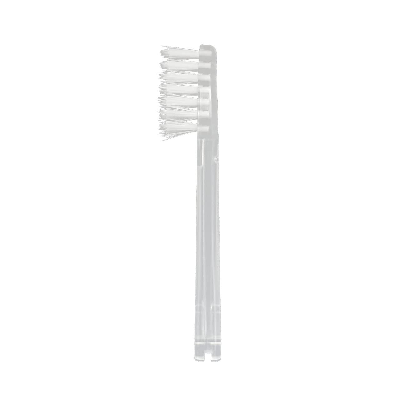 IONPA [DM - Clear] Replacement Brush Head, 2pcs/Pack, Made in Japan IONIC KISS You, hyG