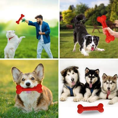 Teething Buddy: Dental Dog Chew Bone Toy for Puppies. (Green)
