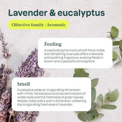 ATTITUDE Air Purifier, Activated Carbon Freshener, Odor Remover, Plant and Mineral-Based, Vegan, Lavender and Eucalyptus, 8 Ounces