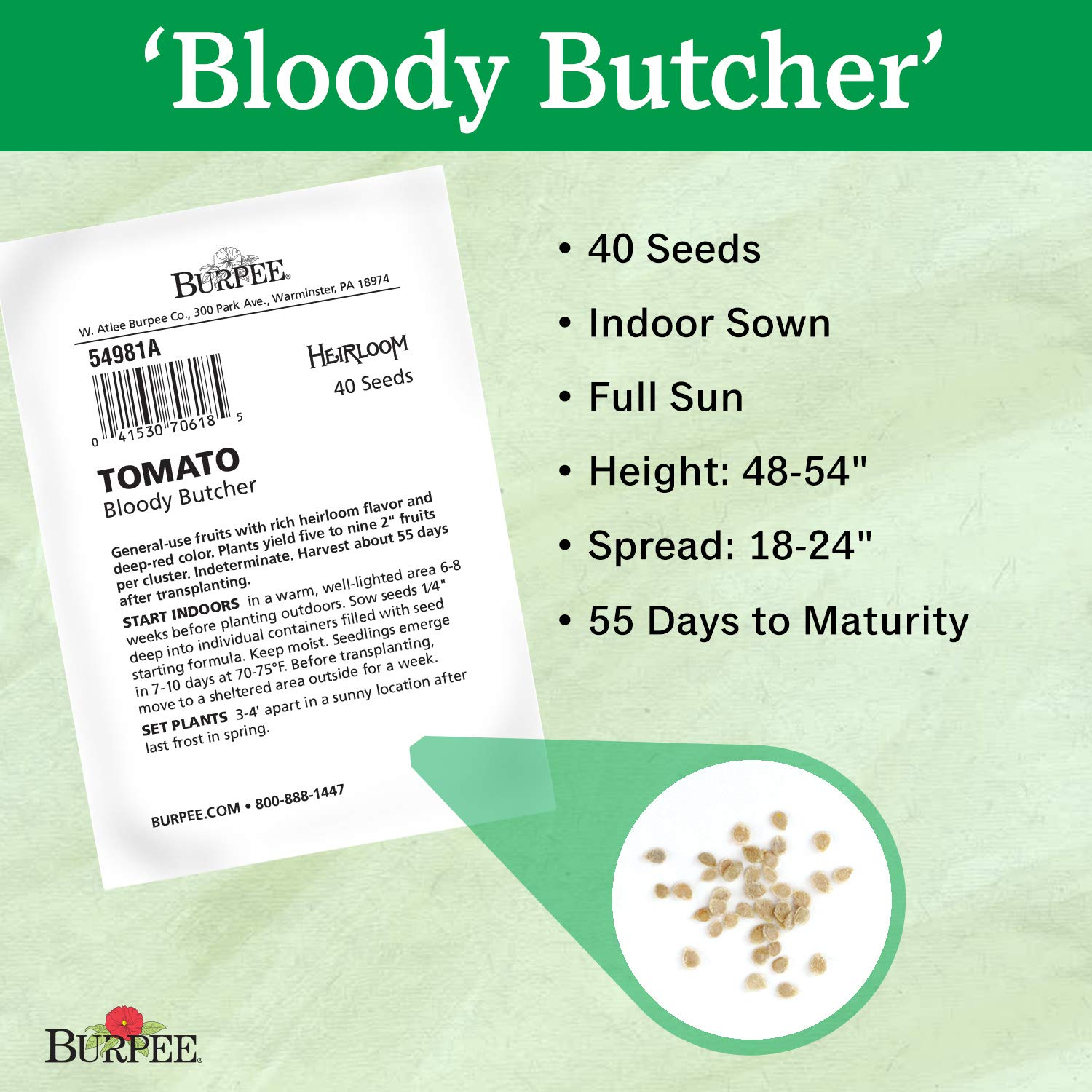 Burpee 'Bloody Butcher' | Red Beefsteak Slicing Tomato | 40 Seeds