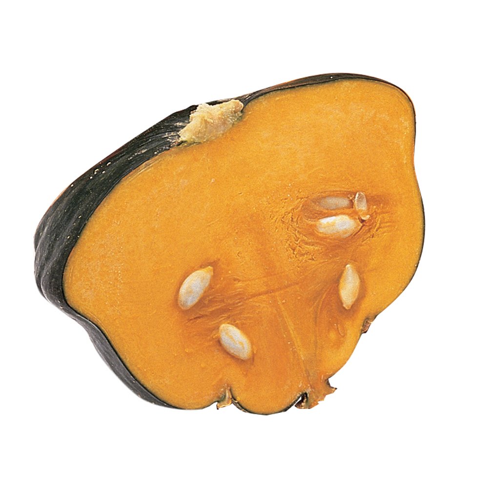 Burpee Buttercup Burgess Strain Winter Squash Seeds 30 seeds