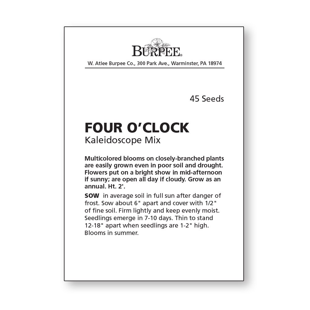 Burpee Kaleidoscope Mix Four O'Clock Seeds 45 seeds