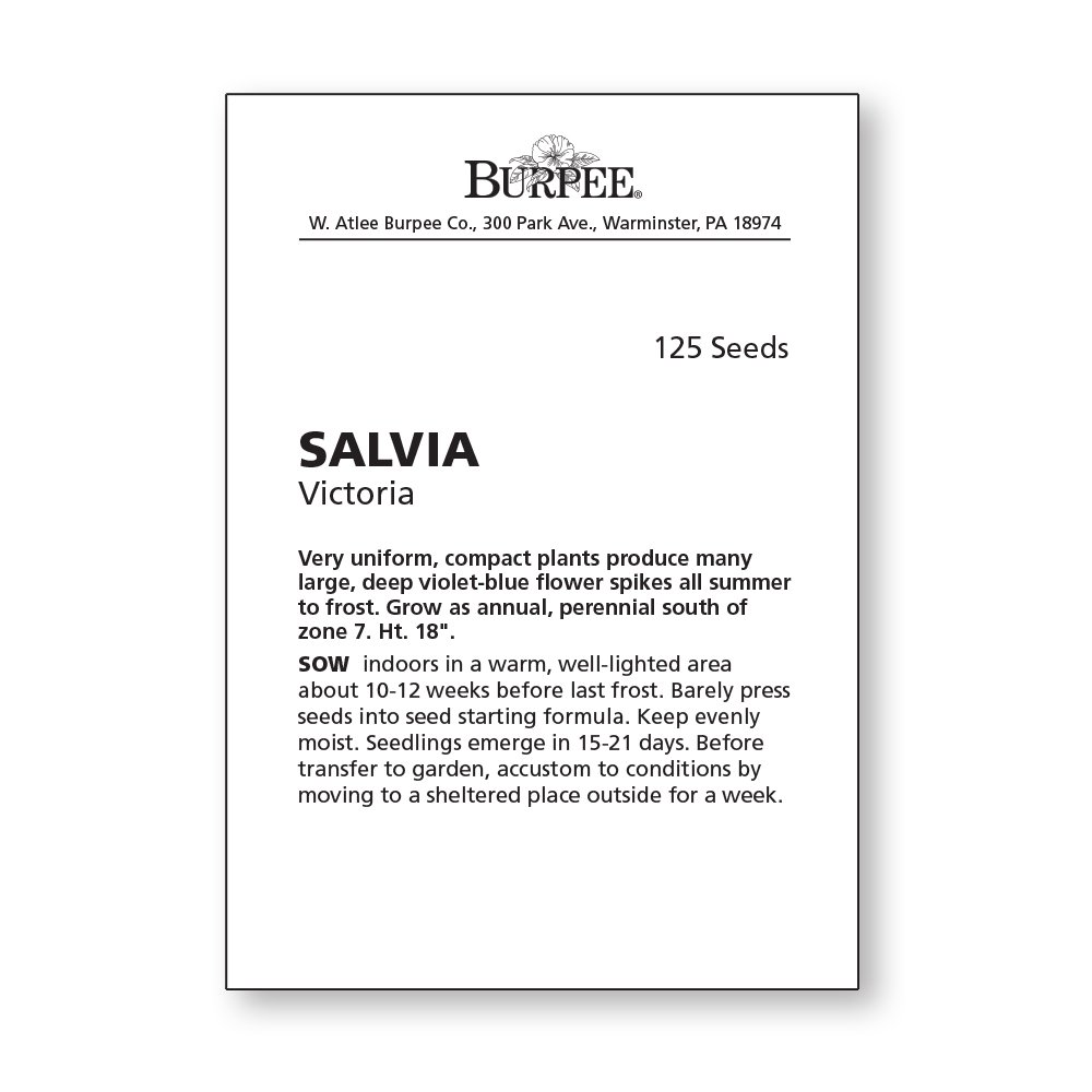 Burpee Victoria Salvia Seeds 125 seeds