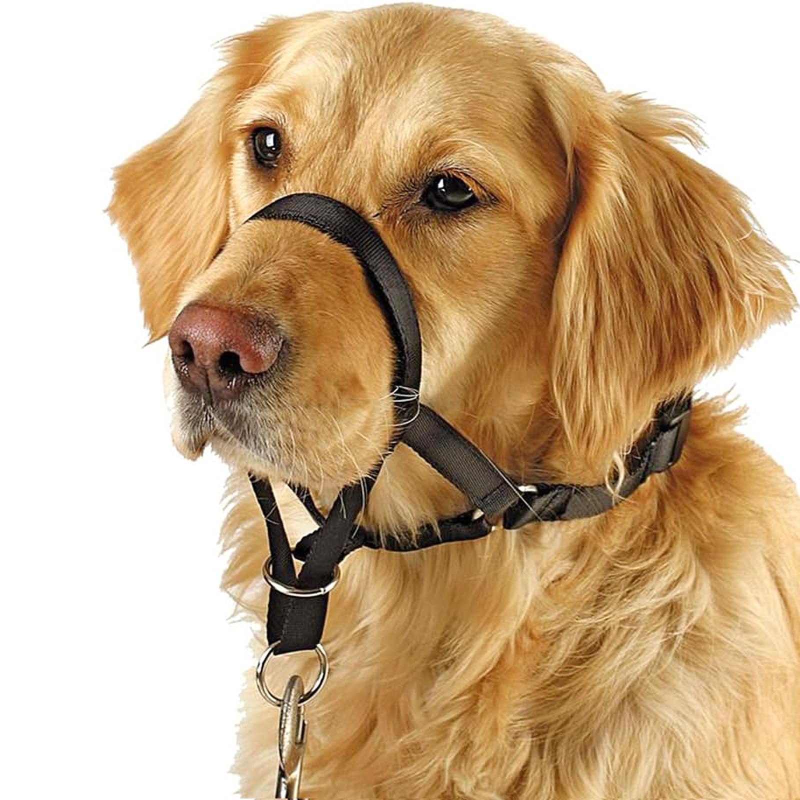 BARKLESS Soft Dog Head Collar, No Pull Training Tool for Small Medium Large Dogs on Walks, Gentle Training Collar and Control for Heavy Pullers, Includes A Training Guide