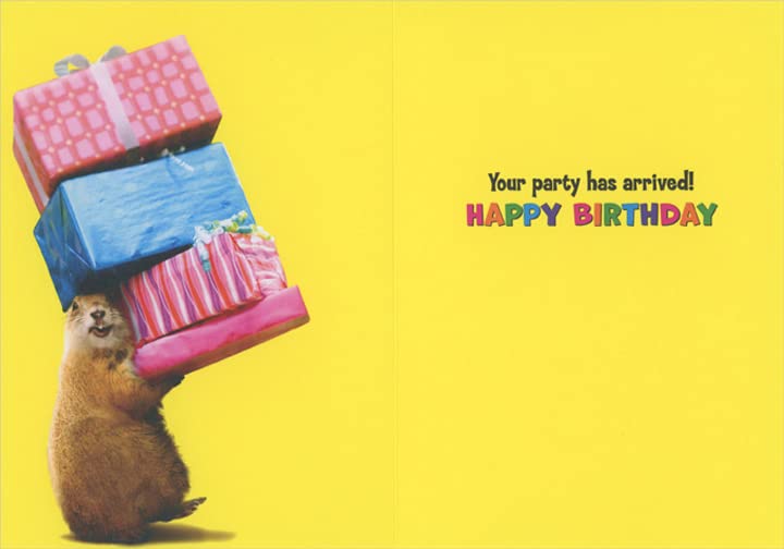 Avanti Press Two Prairie Dogs Carrying Cake and Balloons Funny/Humorous Birthday Card