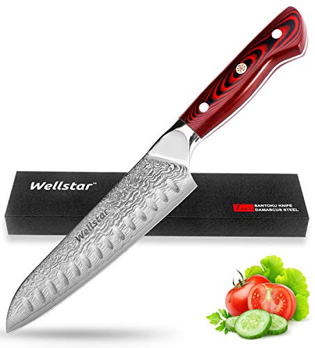 WELLSTAR Santoku Knife, Damascus Steel Kitchen Knife 7 Inch, Japanese AUS10 High Carbon Steel 67-Layer Blade Full Tang with Ergonomic G10 Handle, Razor Sharp Chefs' Knife - Gift Box