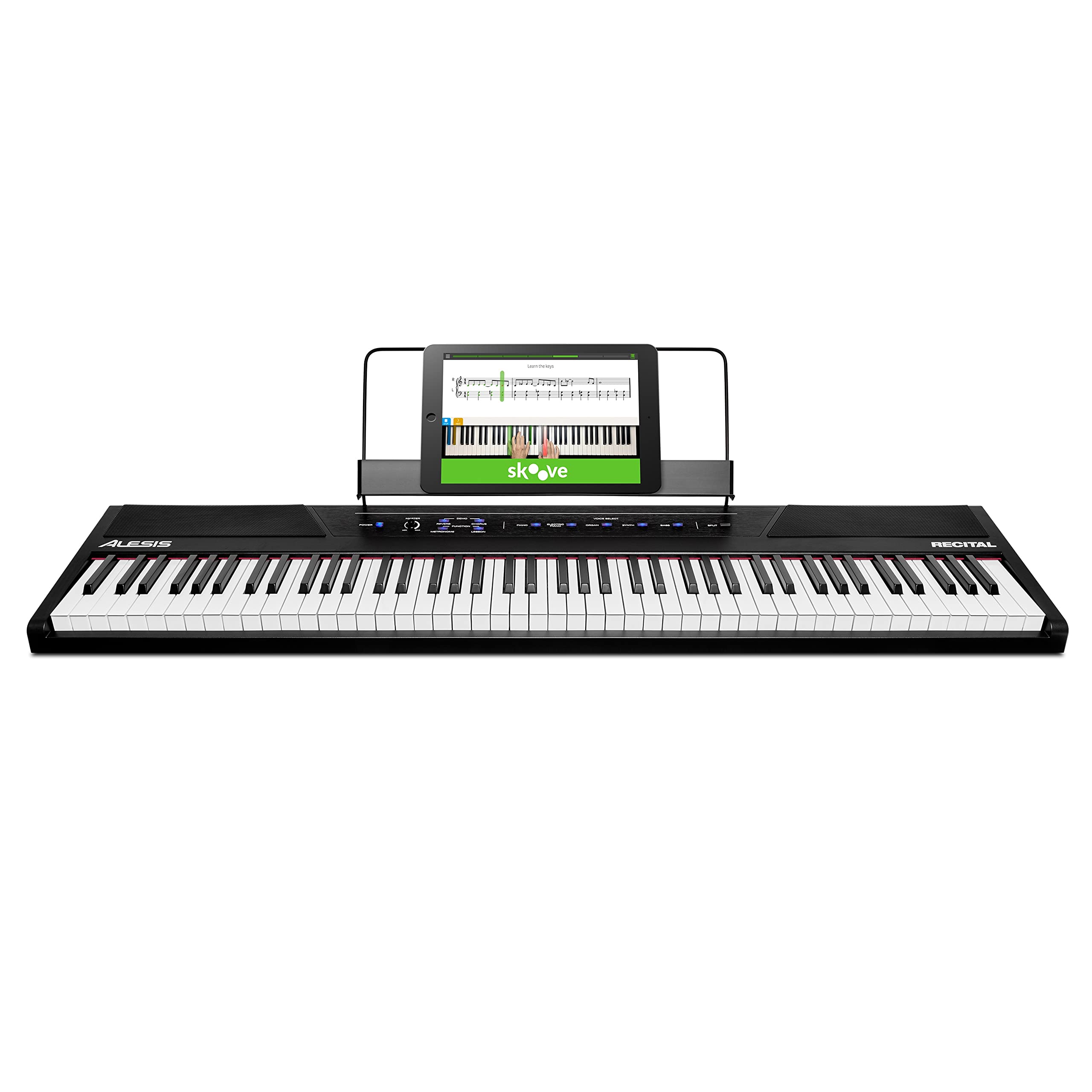 Alesis Recital | 88 Key Beginner Digital Piano/Keyboard with Full Size Keys & RockJam Xfinity Heavy-Duty, Double-X, Pre-Assembled, Infinitely Adjustable Piano Keyboard Stand with Locking Straps