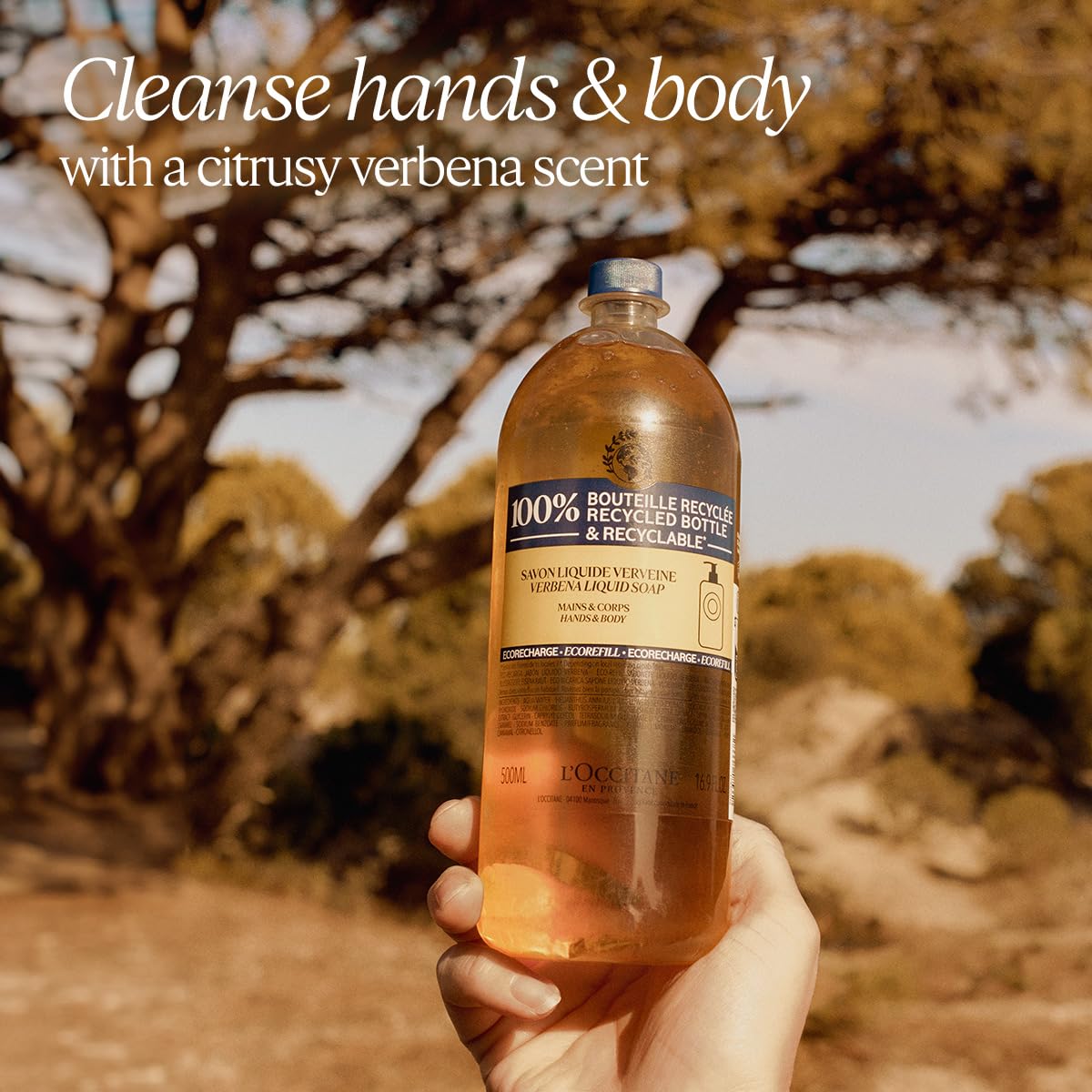 L'OCCITANE Shea Hands &-Body Verbena Liquid Soap: Gently Cleanse Hands & Body, Softening, Citrusy Aroma, Refill Available, 16.9 Fl. Oz