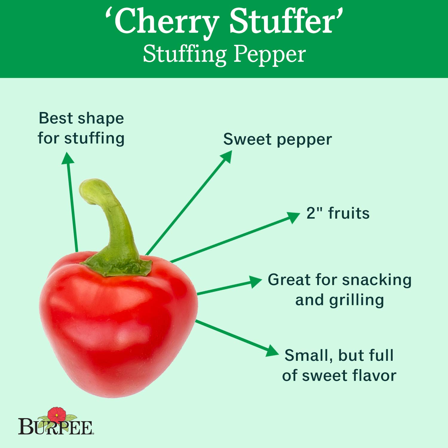 Burpee Cherry Stuffer Sweet Pepper Seeds 25 seeds