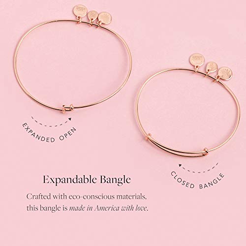 Alex and Ani Path of Symbols Expandable Bangle for Women, Rainbow Charm, Shiny Gold Finish, 2 to 3.5 in
