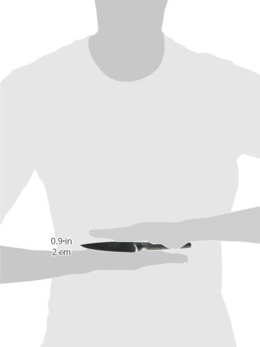 Global Knife Kitchen-Utility-Knives Global 2-Piece Knife Set (GSF-23 GSF-46), 2.1, Stainless Steel