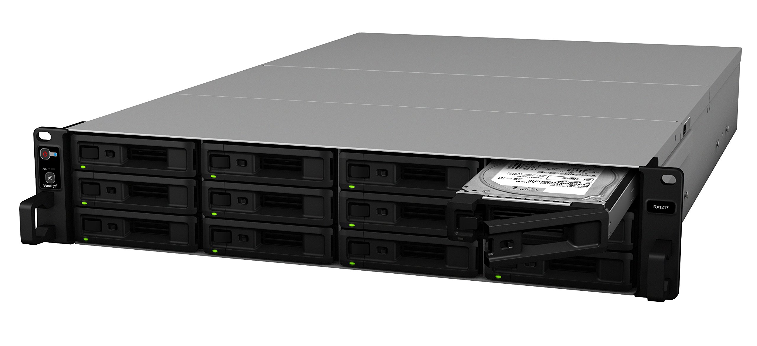 Synology RX1217 Expansion for RackStation (Diskless) 88 mm x 482 mm x 696 mm
