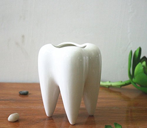 MONMOB Ceramic Tooth Shaped Pen Pencil Toothbrush Holder Pot Succulent Plant Pot Home Office School Dentists Gift (3.9")