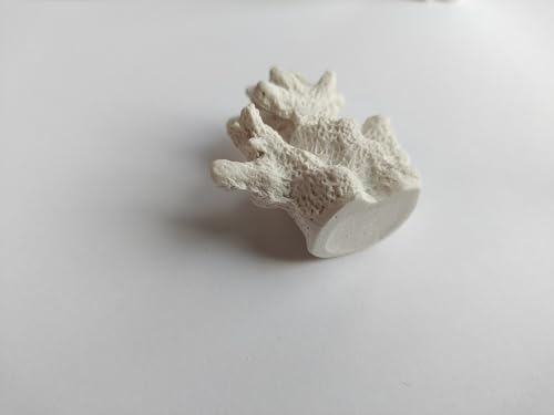 Bi-Sonic Lee 10 Pcs Coral Tree Table Card Holder ,Place Card Holders for Wedding Party Photo Holder Table Number Holders Wedding Decoration (White)