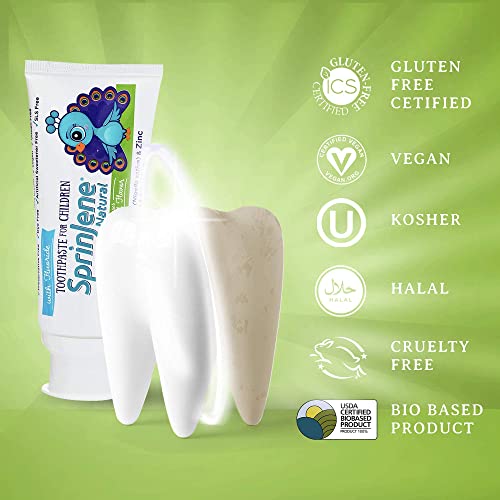 SprinJene Kids Toothpaste with Fluoride for Cavity Protection & Fresh Breath - Natural SLS Free Toddler Toothpaste for Childrens 2 Years & Up/Preservative & Toxic Free (1 Pack) Apple Mint