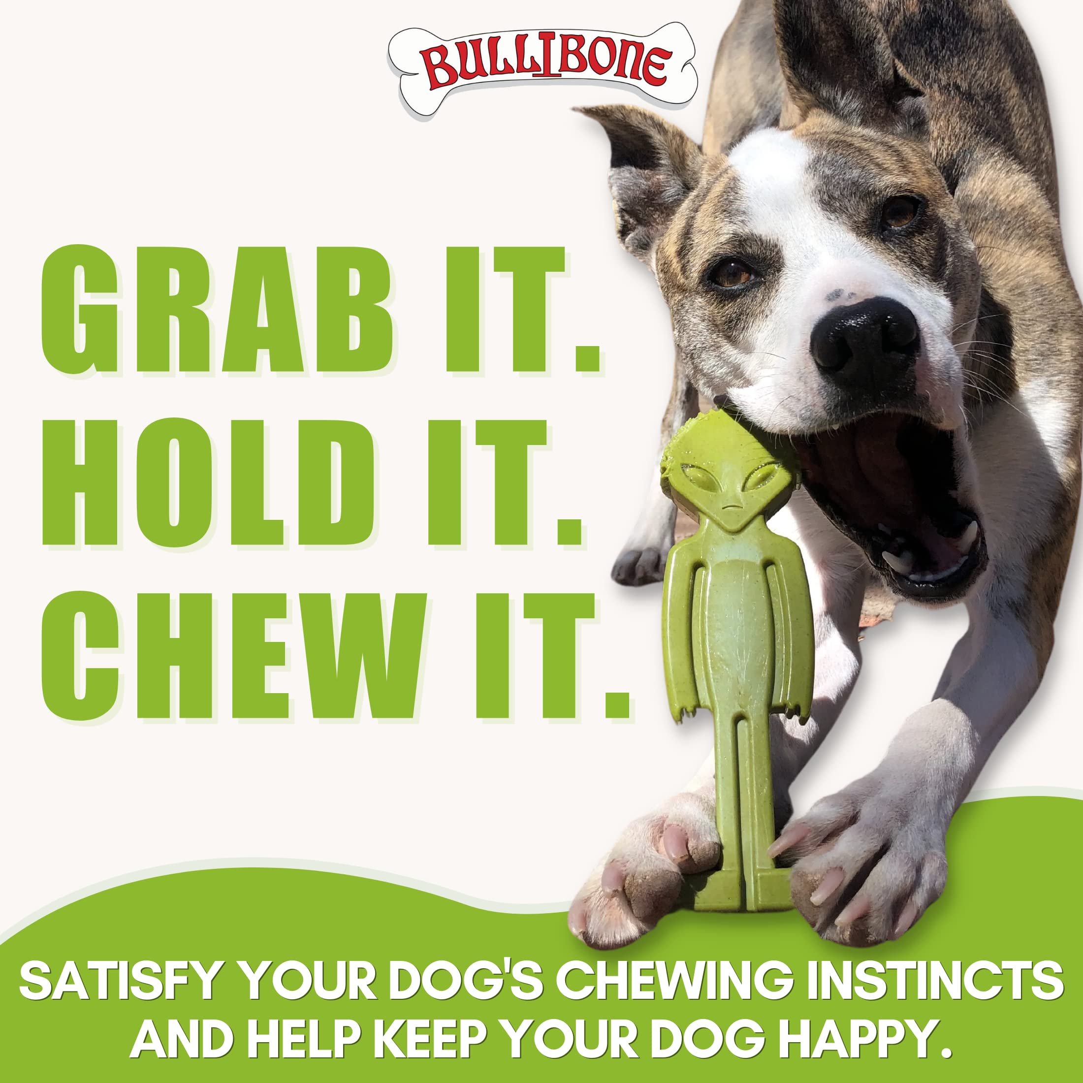 Bullibone Alien Bone: Chew Toy for Aggressive Chewers and Large Dogs