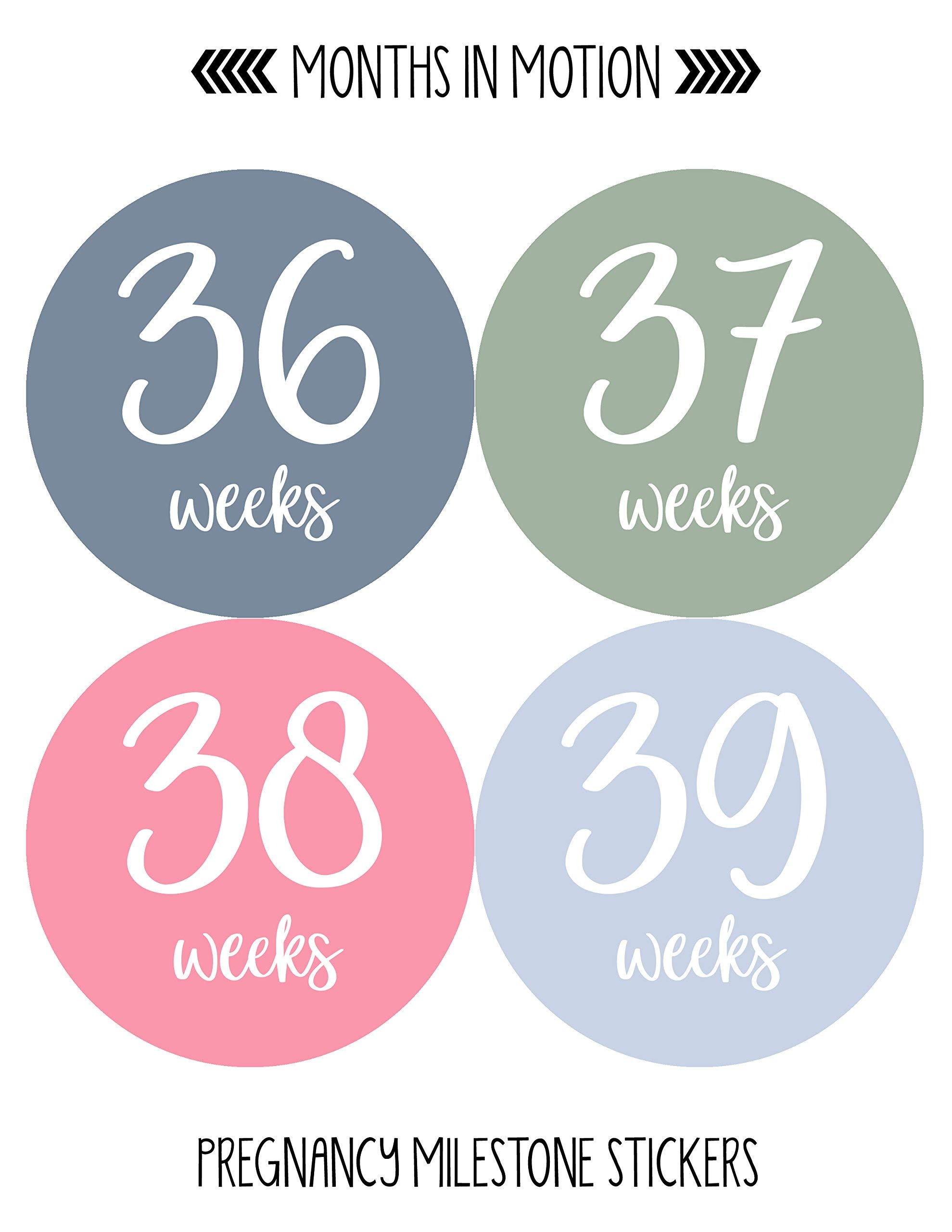 Months In Motion Pregnancy Weekly Belly Growth Stickers, 36 pcs - Purple Pink, Matte Finish, Cloth Surface, for Maternity Photo Sessions & Keepsakes