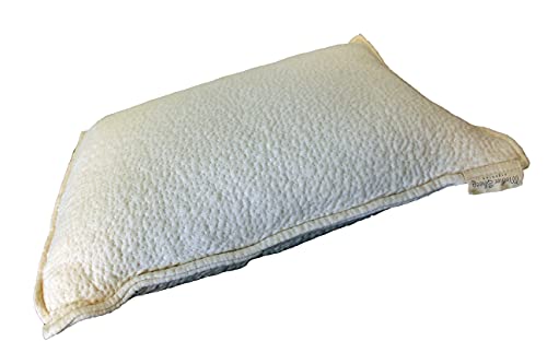 Mother Sheep Organics Organic Wool Toddler and Kids Pillow, Travel Pillow, 14x19