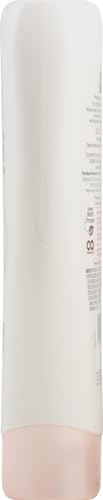 Garnier Whole Blends Gentle Conditioner Oat Delicacy, For Sensitive Scalp, 12.5 fl. oz.