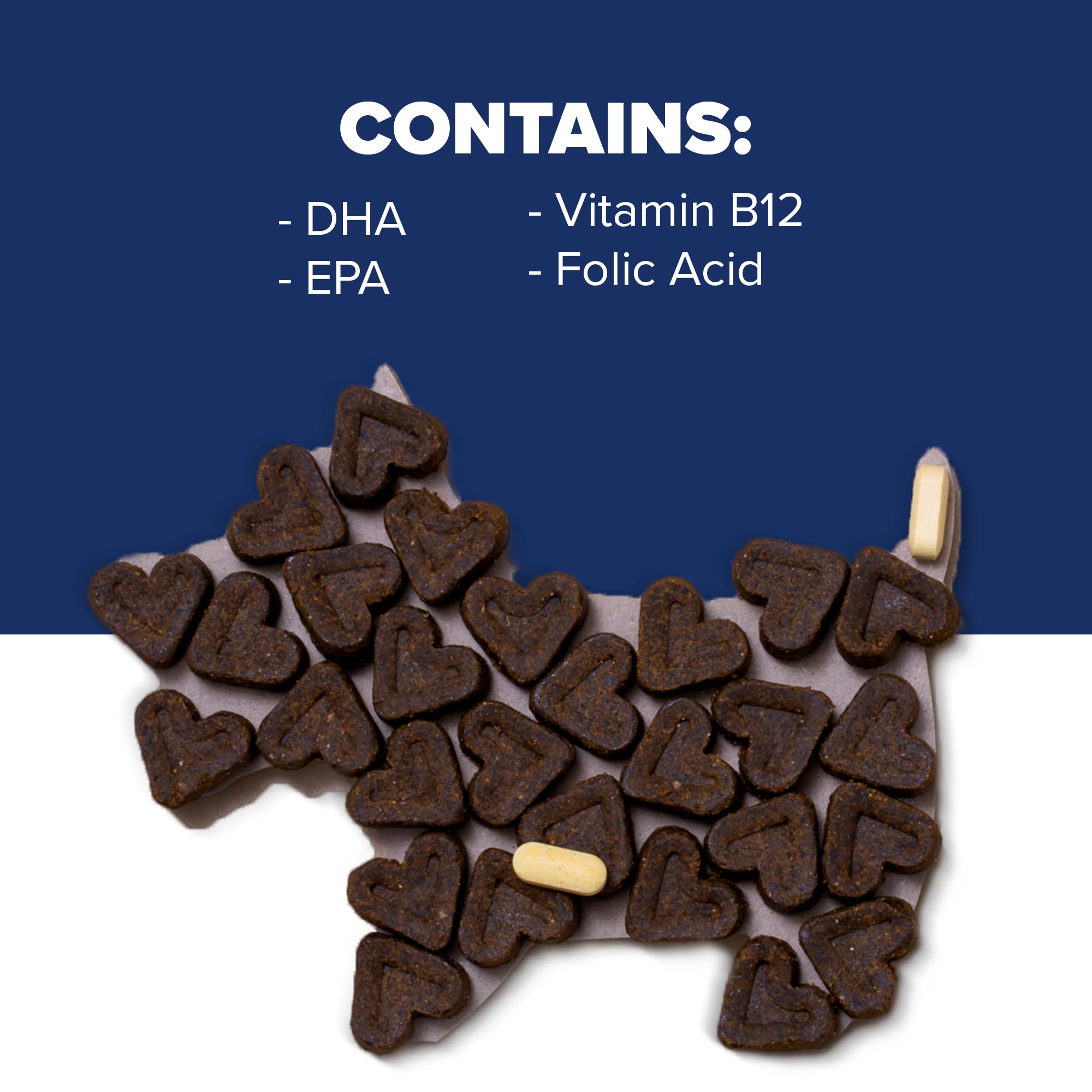 Dr. Jeff Werber Body Boost Multivitamin for Dogs - Heart Shaped Soft Chews with Essential Omega Fatty Acids, Vitamins and Minerals of Dogs - Tasty Beef Flavor - 60 ct.