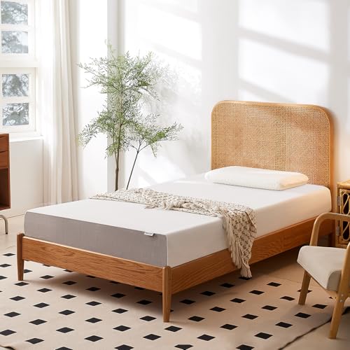Amazon Basics HKSP01008F Plush Memory Foam Bed Mattress, Full, White/Grey, 75 x 54 x 8 inches