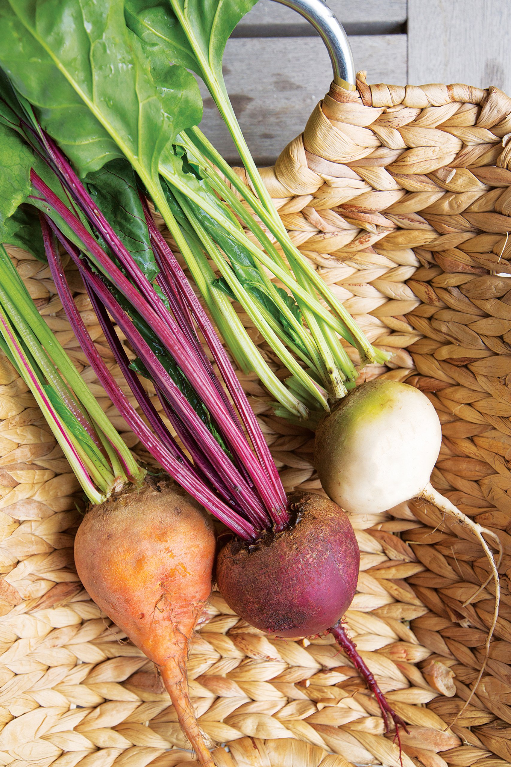 Burpee Three Color Blend Beet Seeds 200 seeds