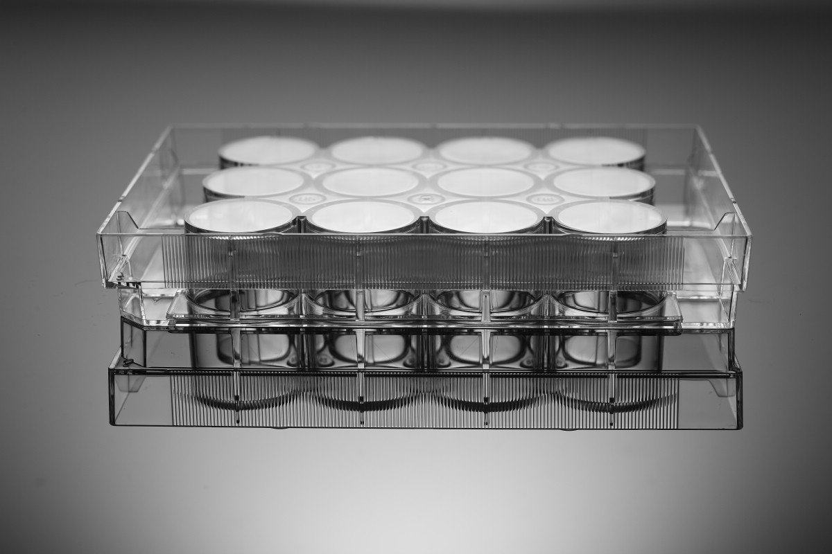 Nest Scientific 712001 Polystyrene 12 Well Cell Culture Plate, Flat Bottom, Tissue Culture Treated, Sterile, Clear, 1 per Pack, 50 per Case (Pack of 50)